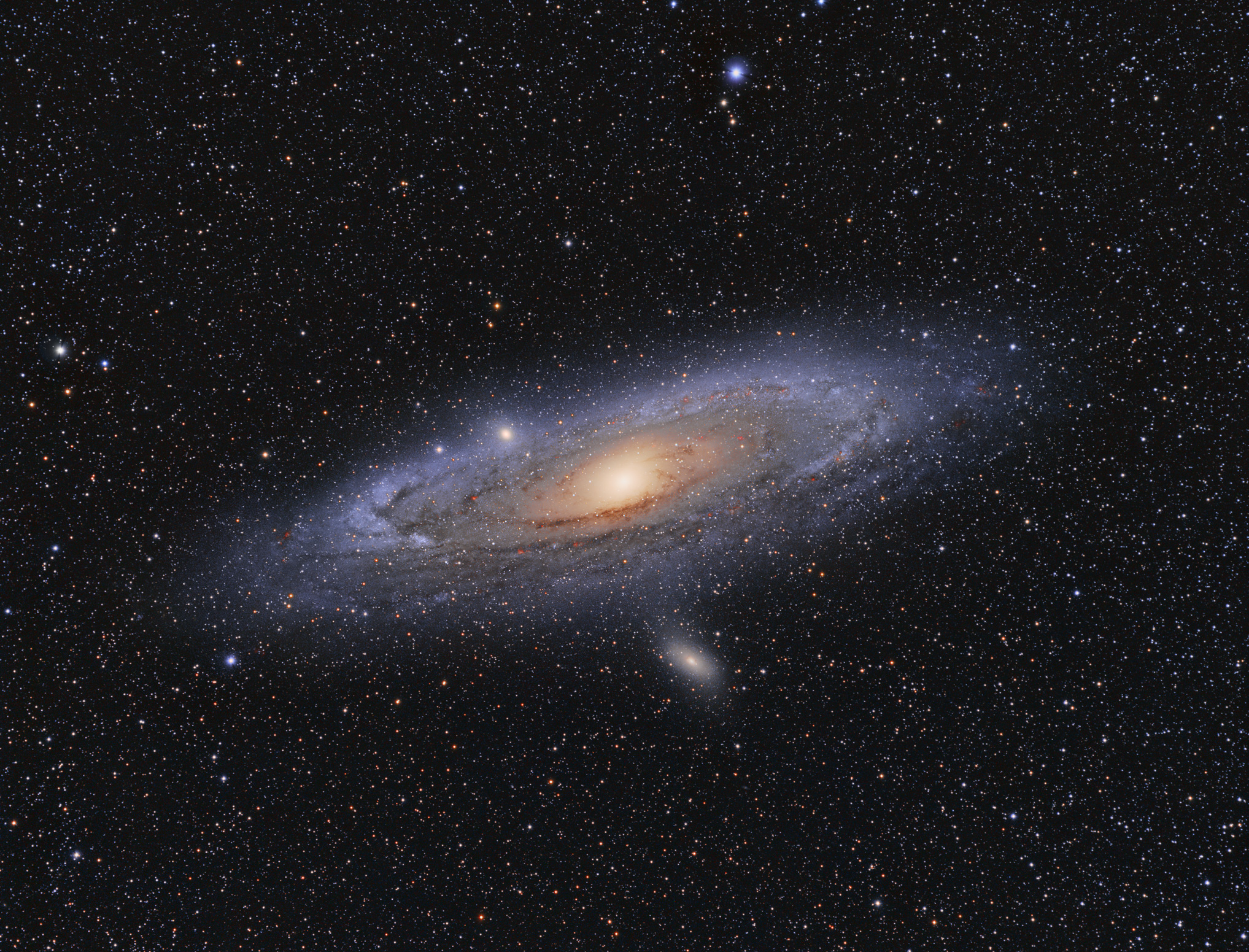 M31